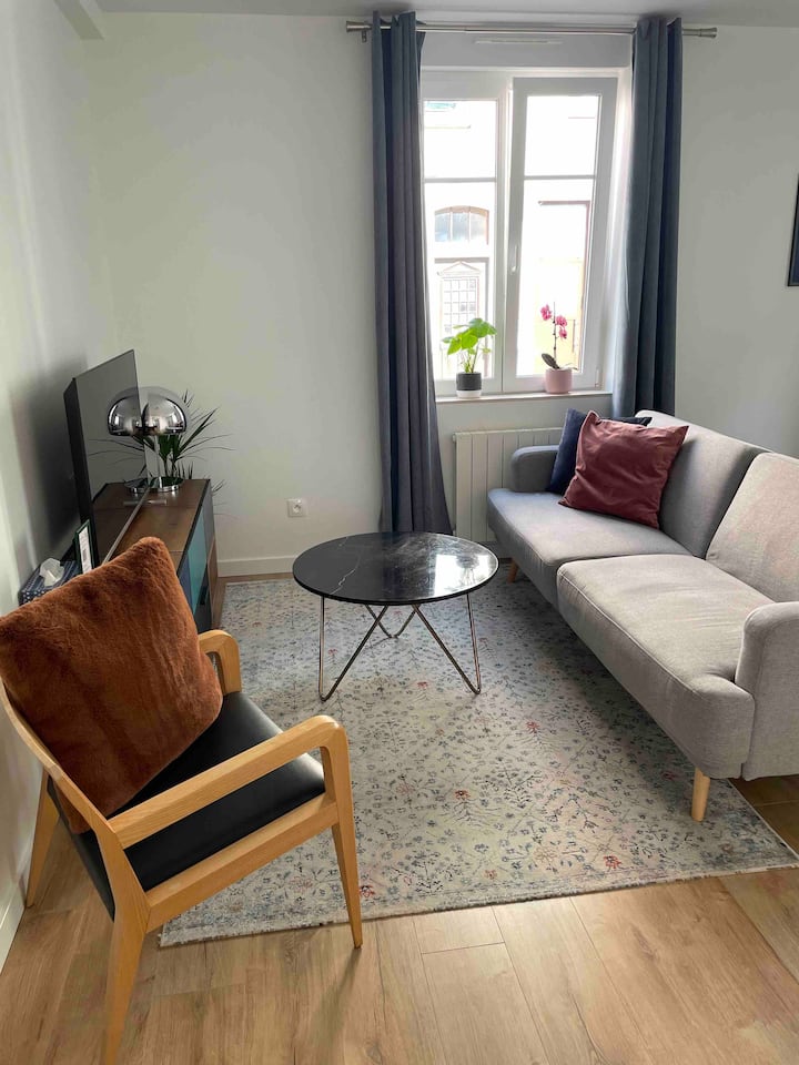T3,2chambres,stationnement Gratuit Dans La Rue - Hôpital de Hautepierre