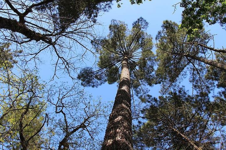 Le Tuzan : locations de vacances et logements - Nouvelle-Aquitaine ...