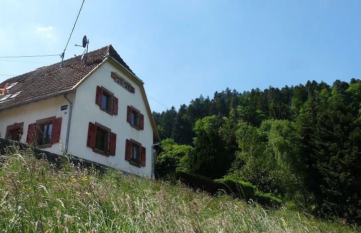 Le Wiedenthal Gîte à Munster 4 Pers - Munster