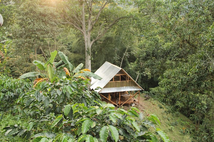 Coffe House - La Vega