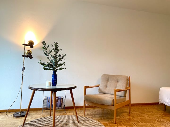 Modern Apartment In City Centre With Baselcard - Basel