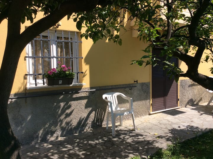 Appartamento Con Vista Mare Sori, Genova - Camogli