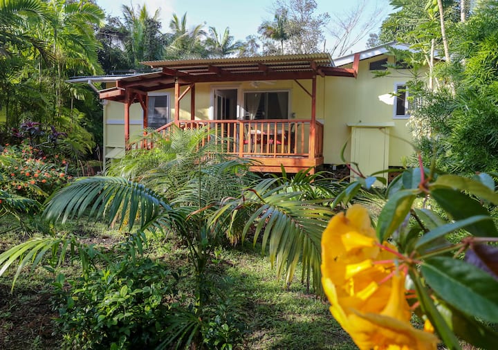 Tropical Anuenue Cottage - Keaau, HI