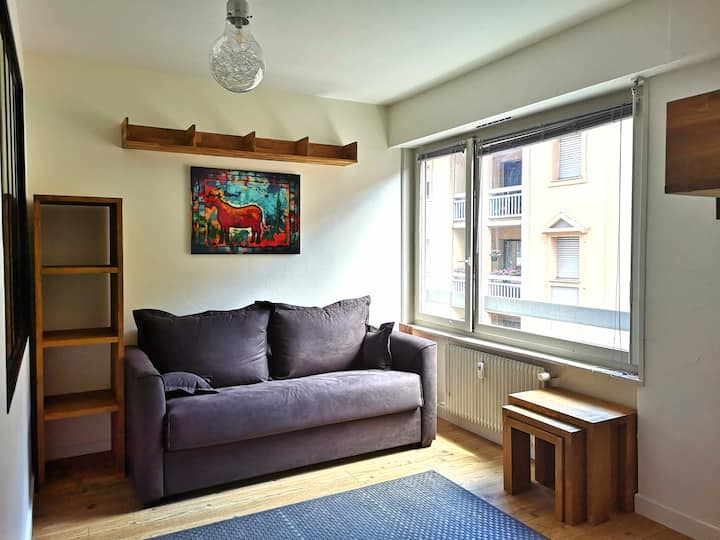 Charmant Petit Appartement, Centre De Sallanches. - Cordon