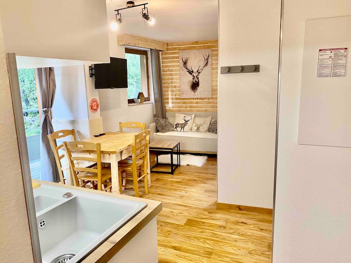Logement Au Pied Des Pistes à Chamrousse - Chamrousse