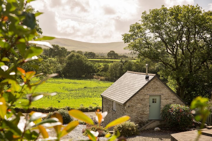 Stunning Romantic Barn Overlooking A Peaceful Meadow In Pembrokeshire. - Pembrokeshire