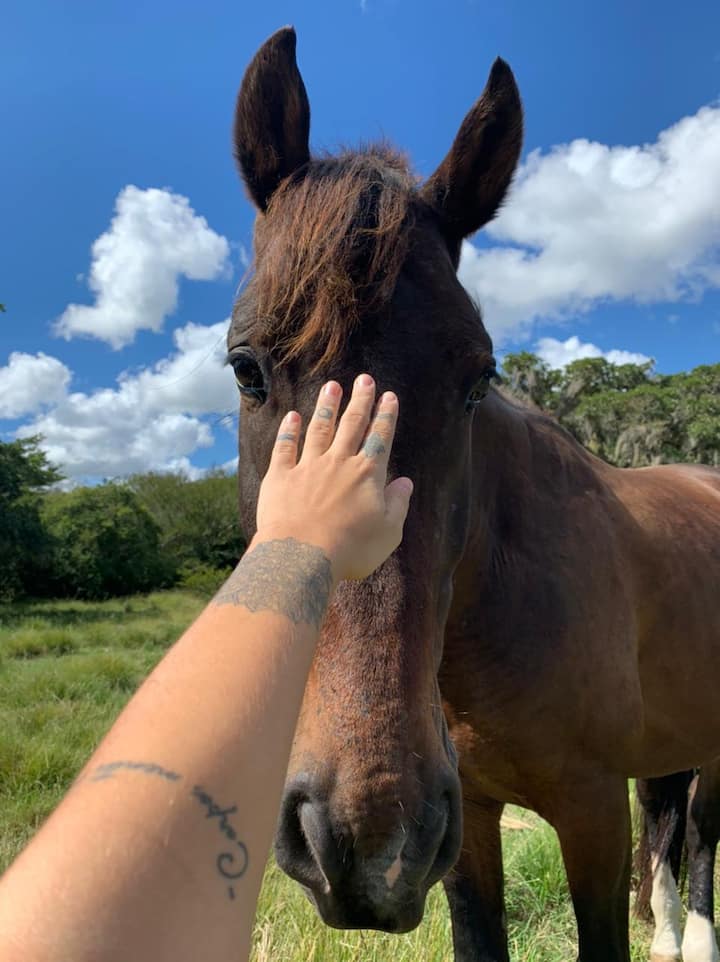 10 Best Ranches To Stay In Brazil | Trip101
