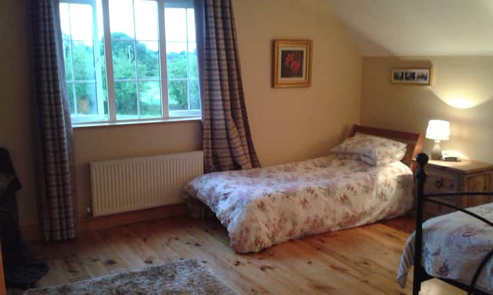 Spacious Home In Scenic Countryside - Naas