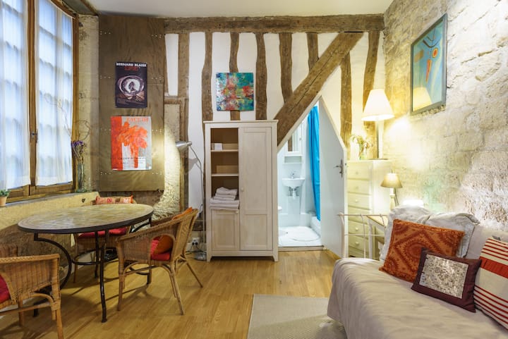 Studio Notre Dame/st Michel - Paris