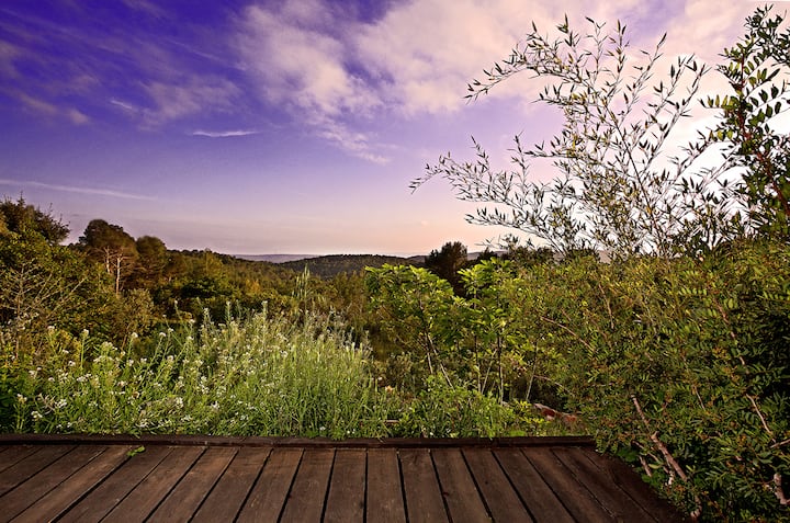 L'annexe - Draguignan