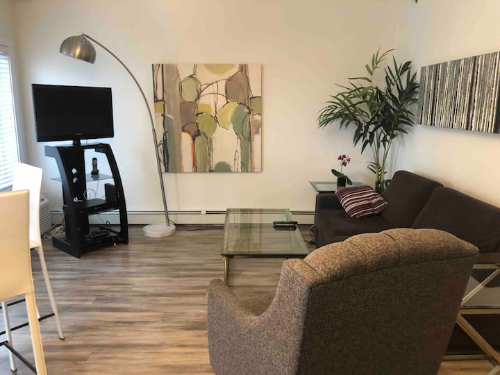Beautiful 1 Bedroom Condo Close To Downtown - Saskatoon