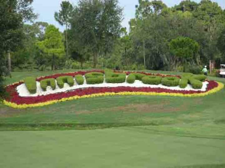 Newly Renovated On Innisbrook Golf Course - Tarpon Springs, FL