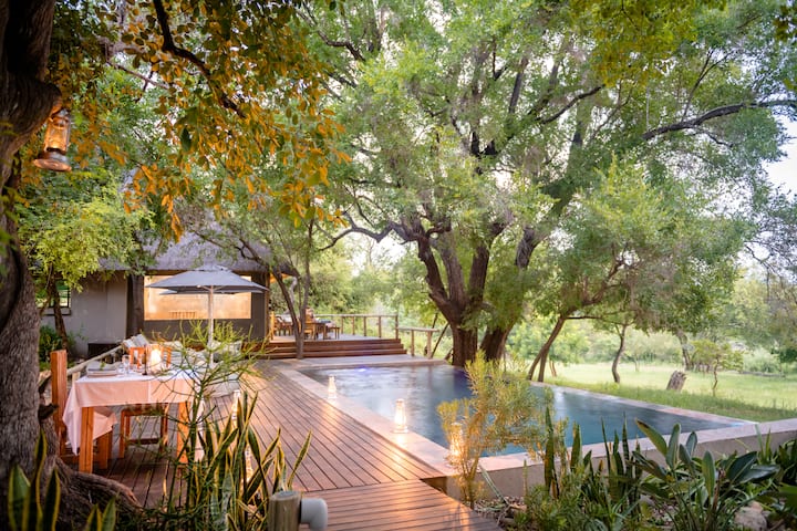 Luxury Tented Room In Nature Reserve - River Views - Hoedspruit