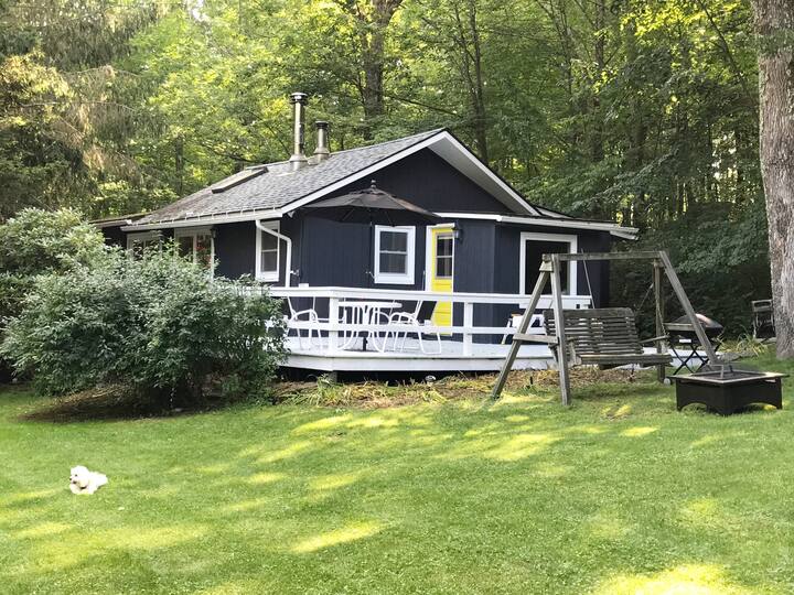 Catskills Deer Cabin Rustic Modern Getaway - Roxbury, NY
