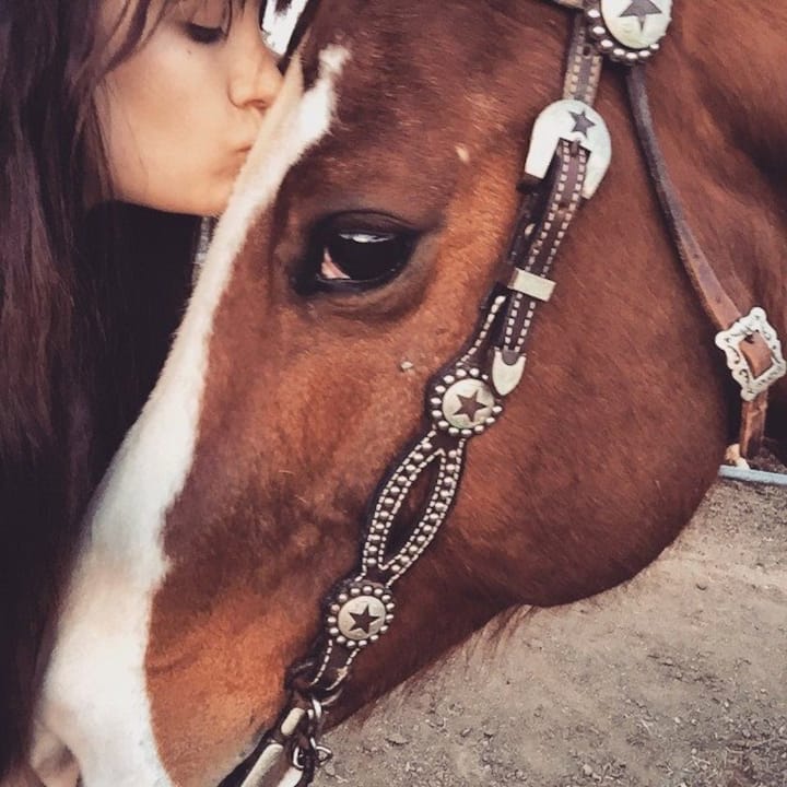 Come Hike, Heal Or Horse Around - Paradise Valley, AZ