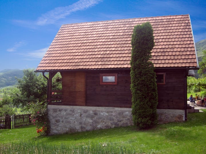 Villa Nirvana - Užice
