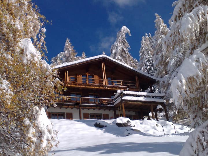 Great Ski-in/ski-out Apt, Close To Town - Verbier