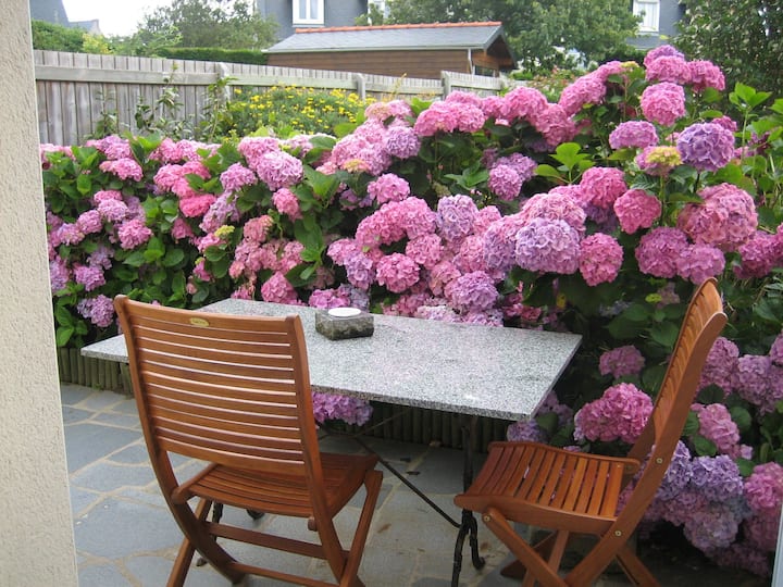 Studio Hortensias 200 M Plage - Grande Plage du Sillon