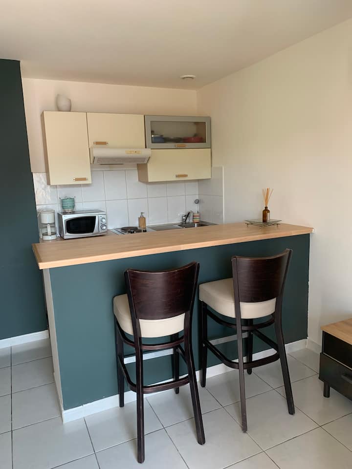 Appartement Dans Petite Résidence Privée - Corte