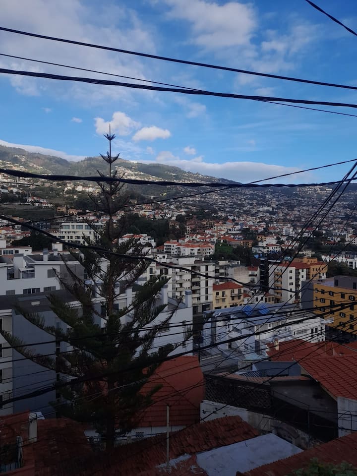 In The Heart Of The City - Funchal