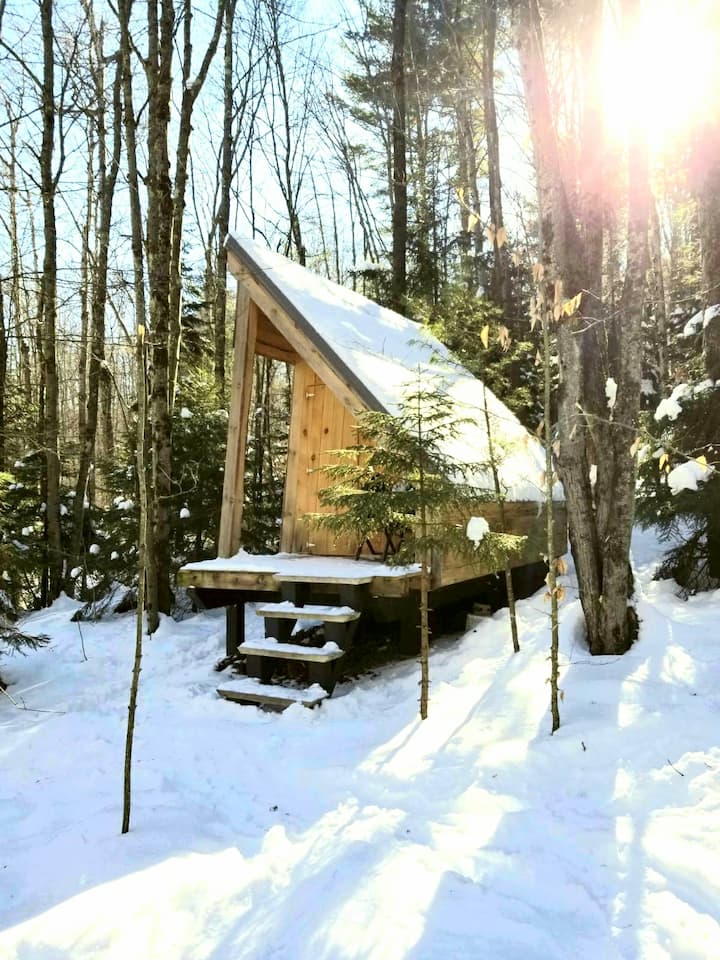 Fern Valley Eco-cabin - 뉴욕