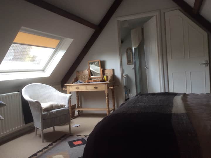 Double Ensuite Room Nr Llandaff Cathedral - Cardiff