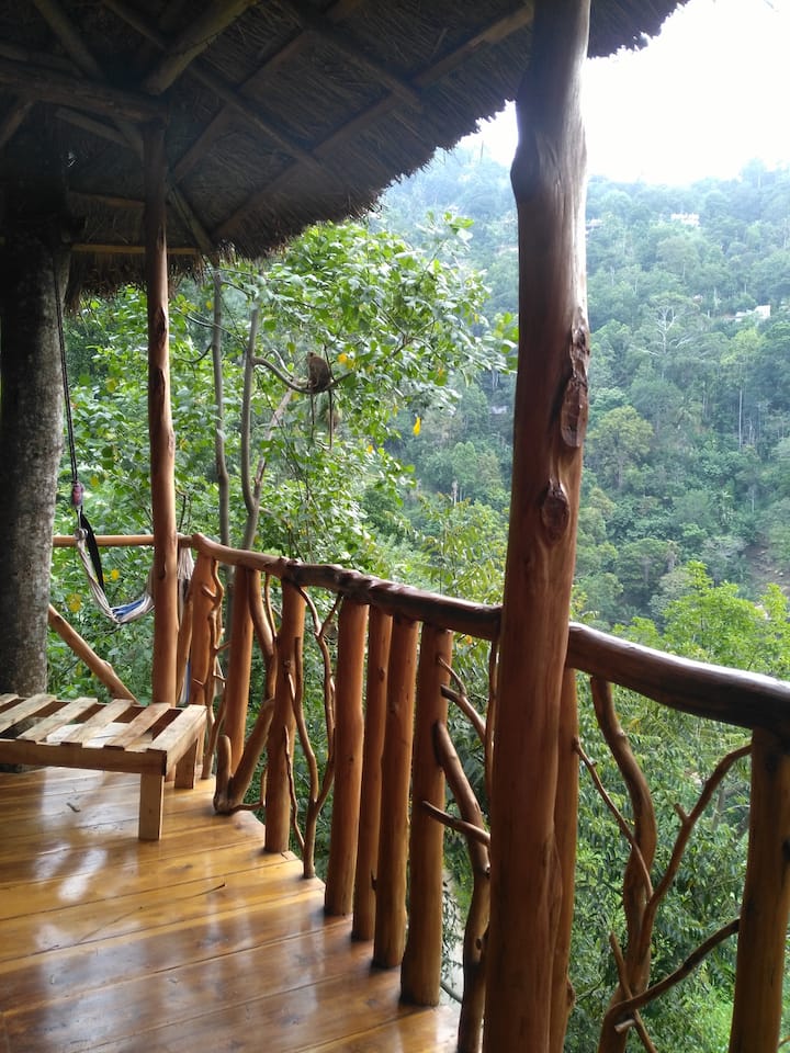 Ella Treehouse Pearl - Treehouses for Rent in Ella, Uva Province, Sri ...