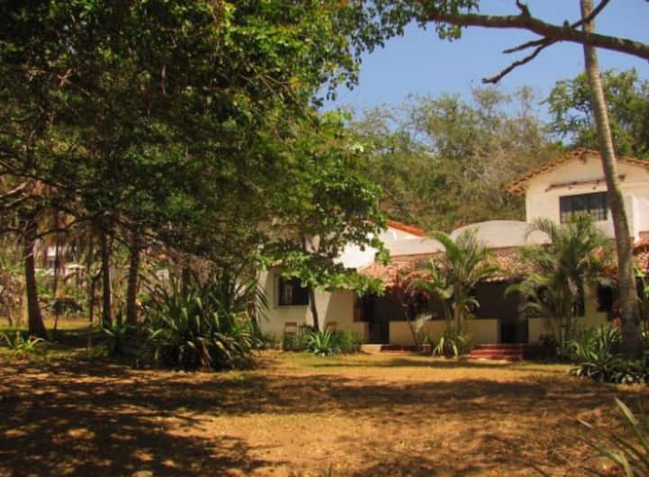 Beachfront Casa Viejo Amor (Main House) - Sayulita
