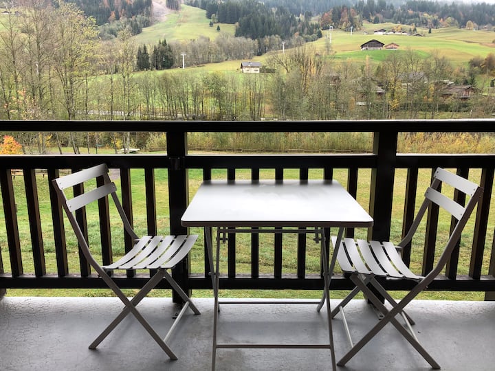 Appartement 2 Pièces Meublés - Résidence Calme - Praz-sur-Arly