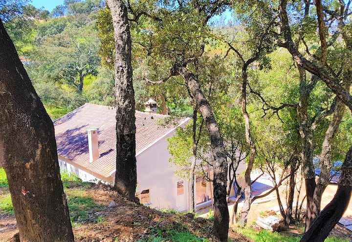 Quinta Da Coruja Monchique, Tranquil Rural Villa - Monchique