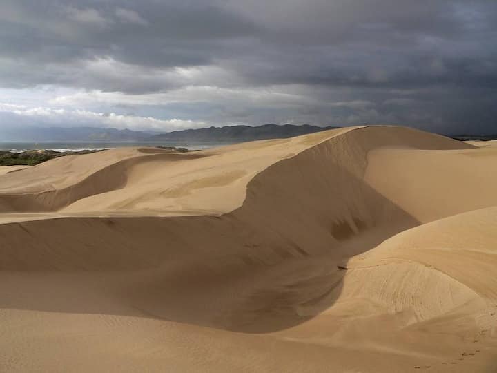 Goofy's Dune (Private Beach Studio) - Pismo Beach, CA