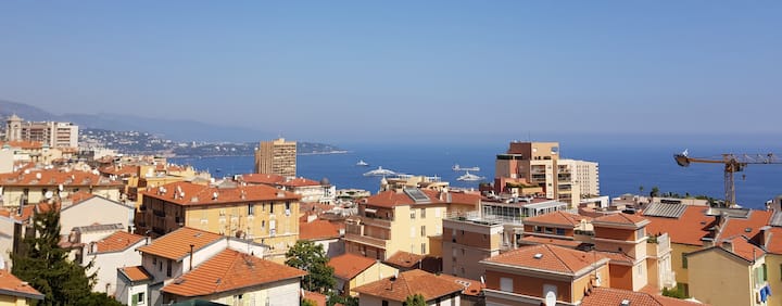 Stunning View 2 Mins Away From Monte Carlo - Monte Carlo