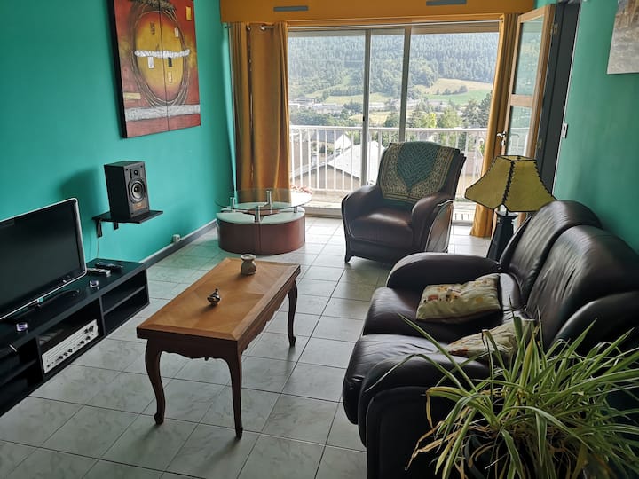 Chambre Dans Appartement Avec Parking - Mende