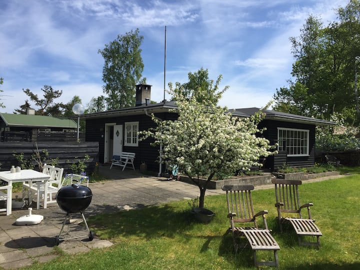 Dejligt Sommerhus Tæt Ved Skov - Denmark