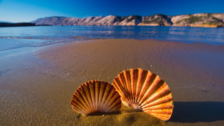 Apartmani Ivona 6+2 - Lopar