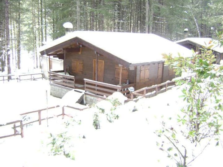 Baita/chalet Del  Bosco,camigliatello Silano,parco - Rose