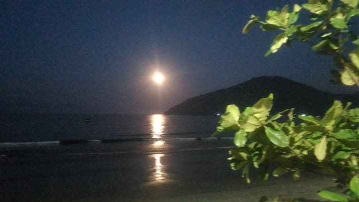 Lindo Apartamento Em Ubatuba - Ubatuba