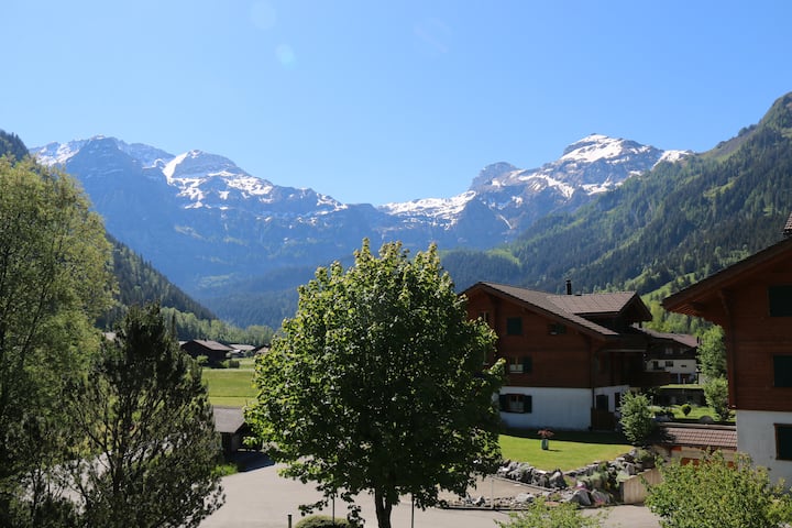 Chaletwohnung Direkt An Der Gondelbahn Metsch - Lenk