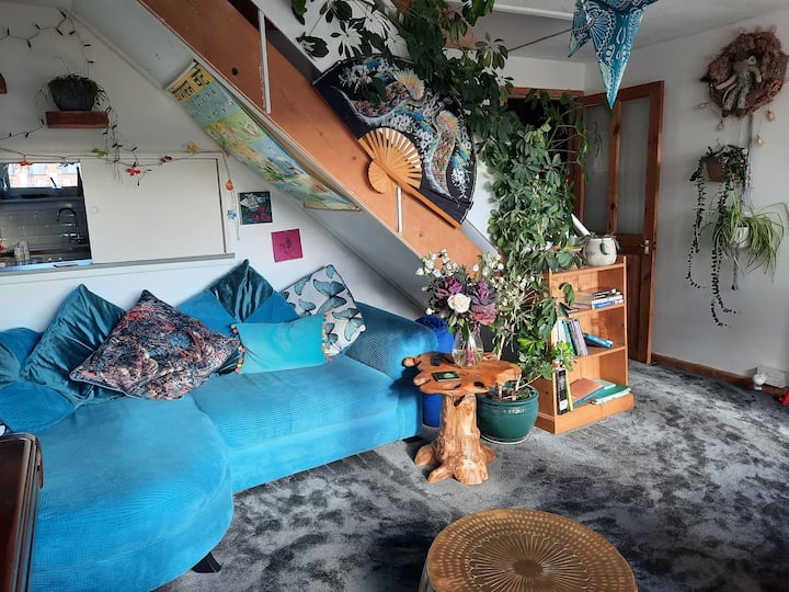 Double Room In City Centre, Vegetarian Flat - Edimburgo