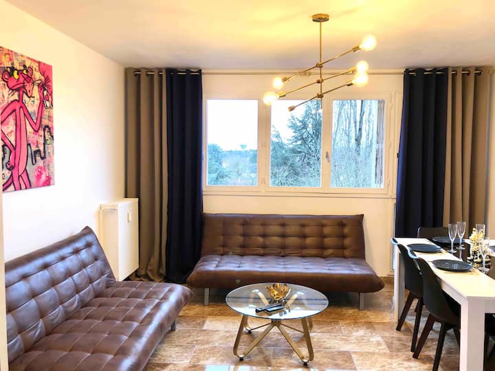 Le Canet 🏝 Appartement Entier 75 M2 Sur Orléans - Orléans