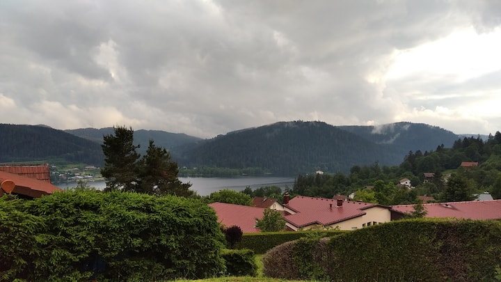 Gérardmer Lac Et Montagne - Lac de Gérardmer