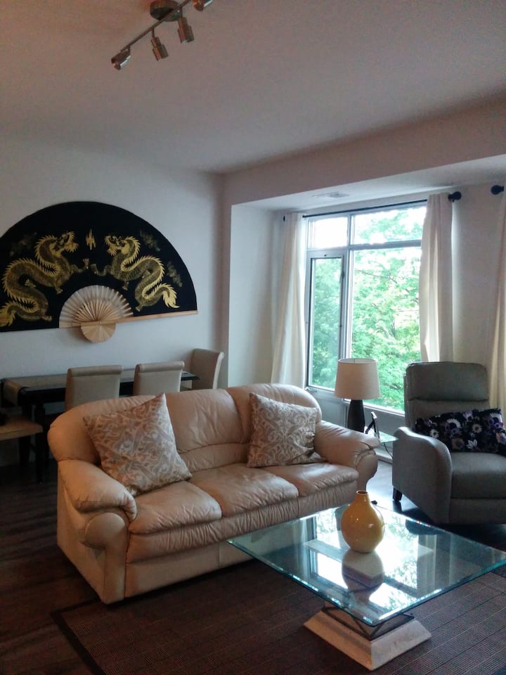 Upscale 2 Bdrms & Baths Condo - Ottawa