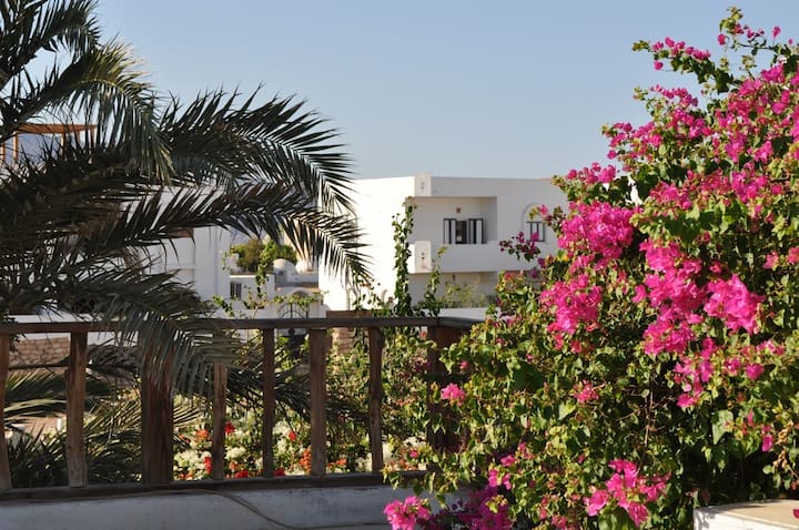 Villa Dei Fiori. Apartment 5 - Egypt