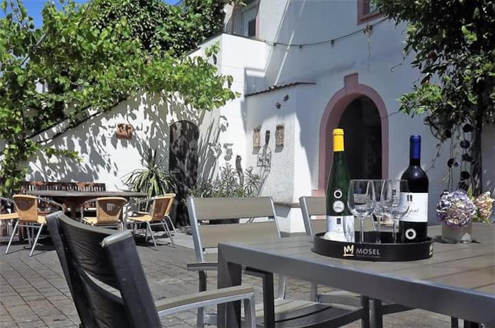 45 M² Appartement ∙ 1 Slaapkamer ∙ 2 Gasten - Piesport