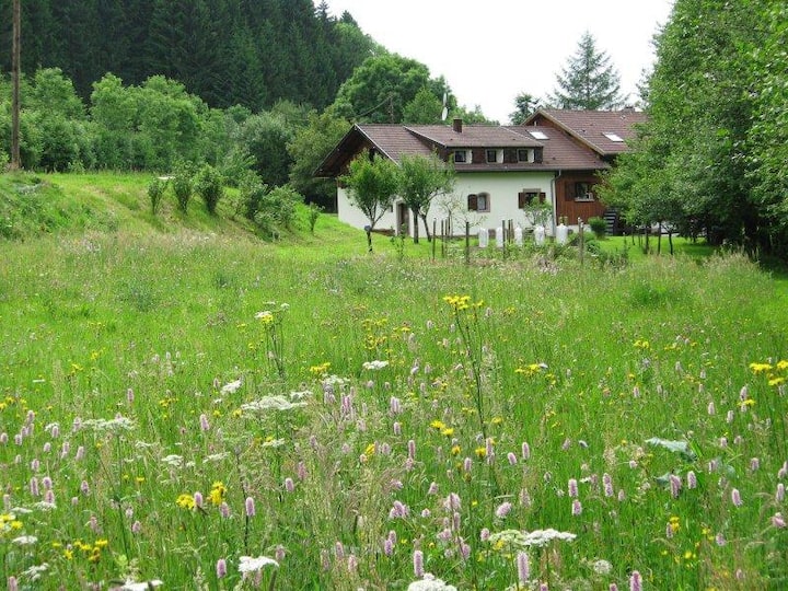La Scierie (Saison Estivale) - Colroy-la-Roche