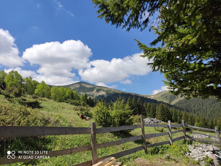Etno Katun Zanoge - Montenegro
