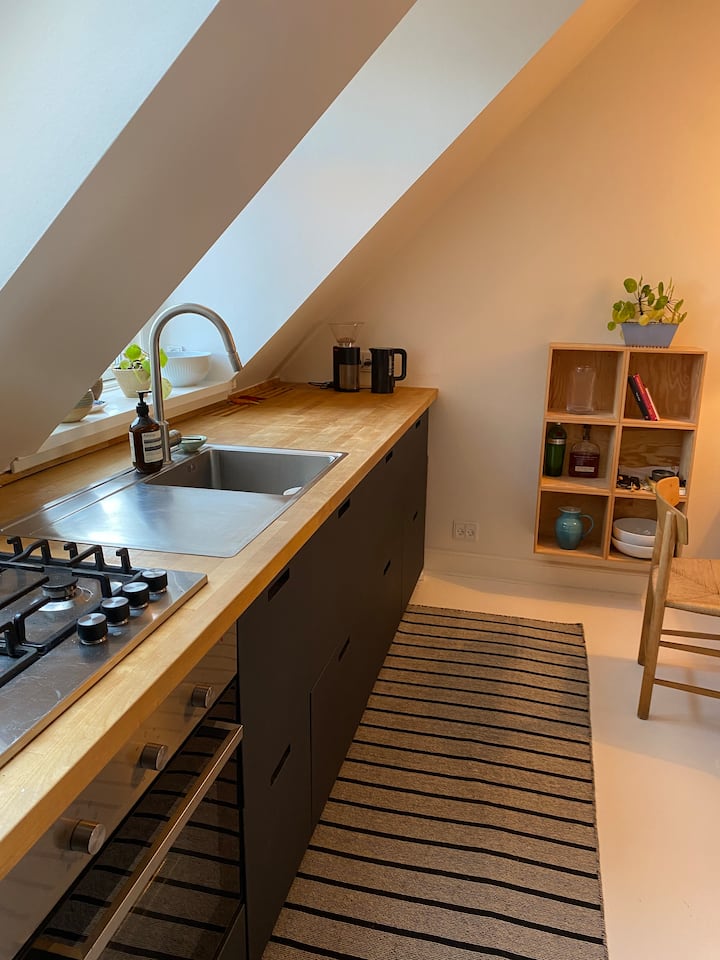 Penthouse Flat With A View, Close To Copenhagen C - Copenhaguen