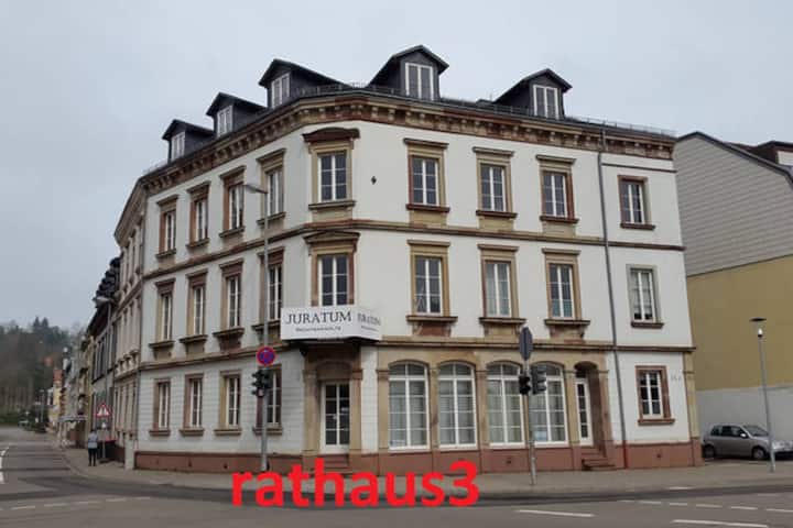 App.50qm, 2zkb, Balkon, Wifi, Zentr - Blieskastel