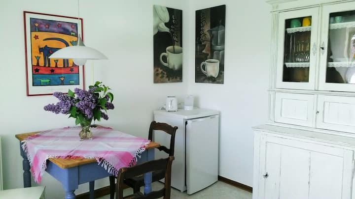 Ruhige Ferienwohnung In Wehlheiden Nahe Am Park - ドイツ カッセル