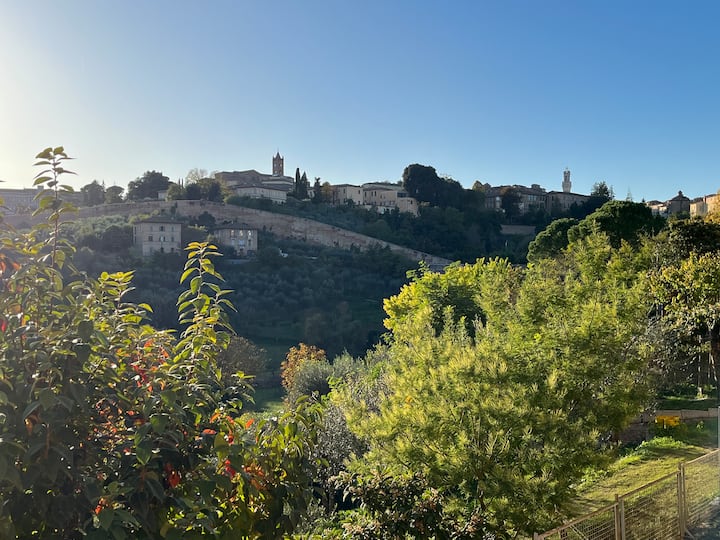 Serenità A Due Passi Dal Centro… - Sienne